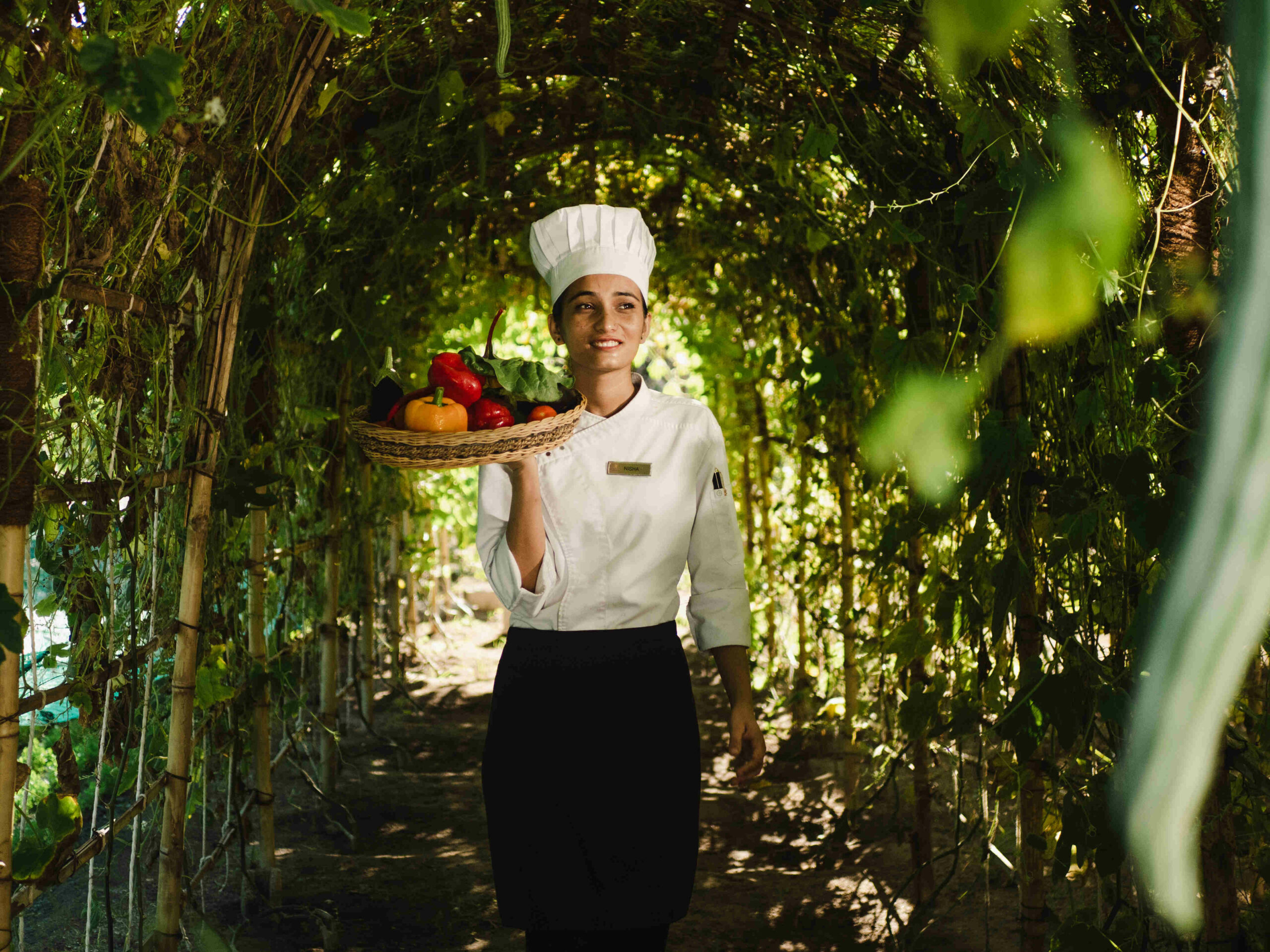 Chefs Garden - Furaveri